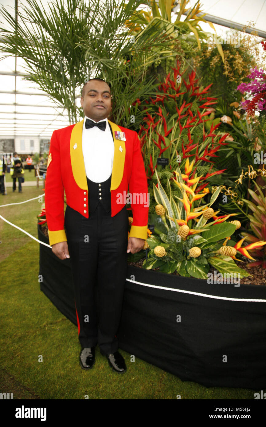 Johnson Beharry VC Stock Photo - Alamy