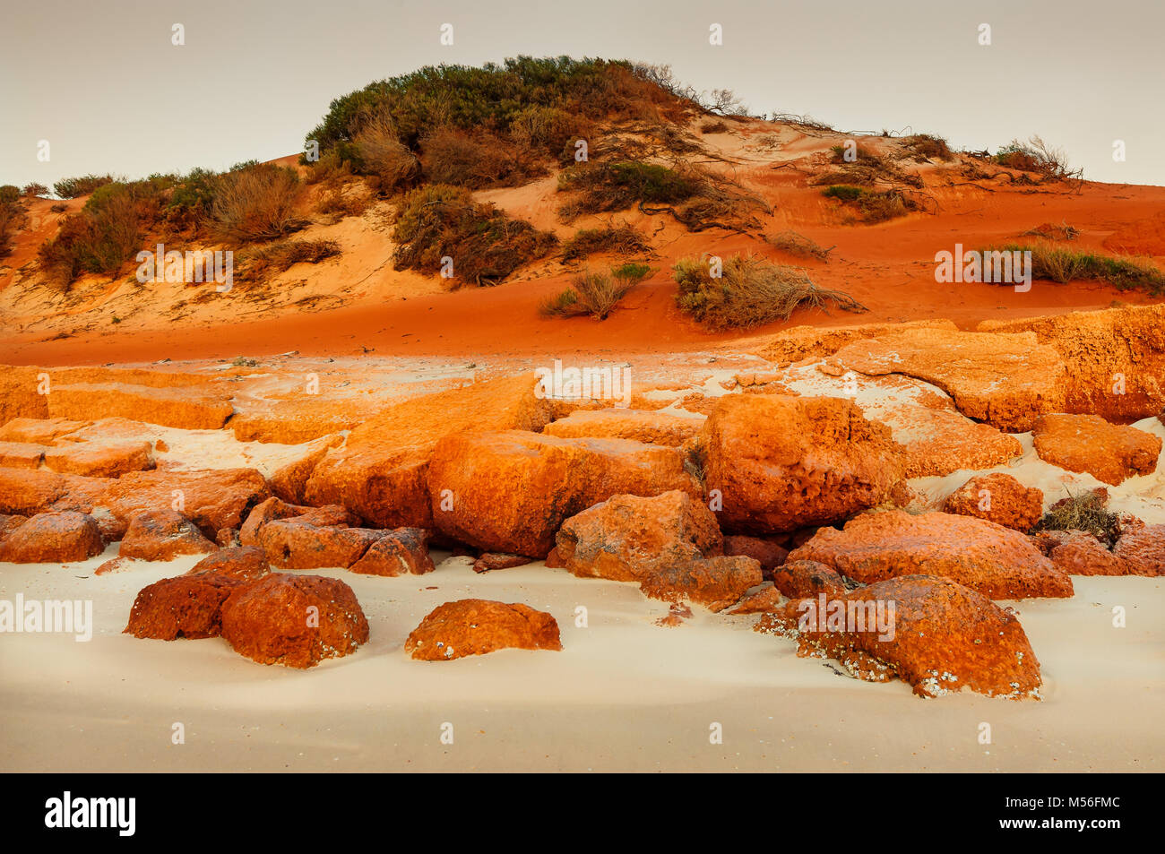 Red dunes at a white beach in Bottle Bay Stock Photo - Alamy
