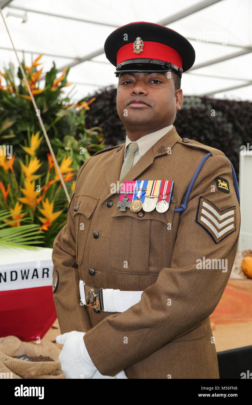 Johnson Beharry Vc High Resolution Stock Photography and Images - Alamy