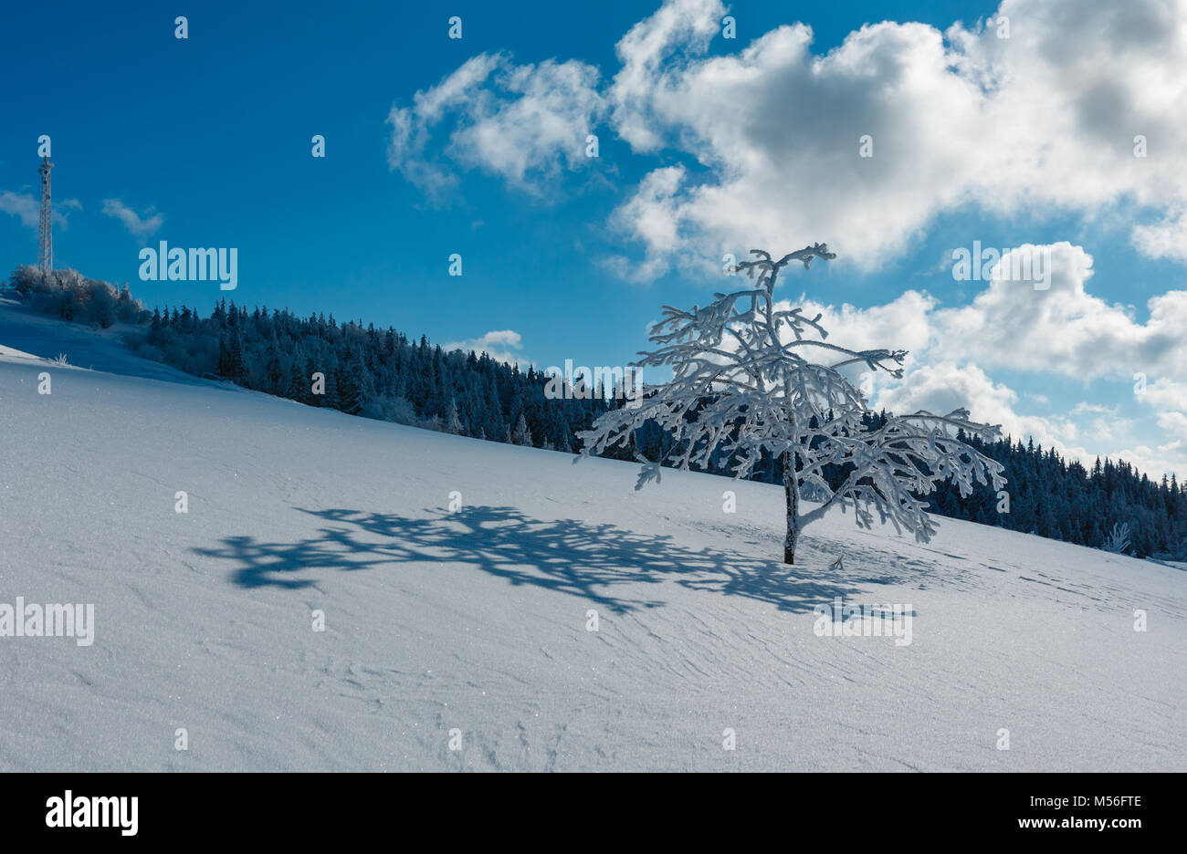Beautiful winter rime frosting trees, communication tower and ...