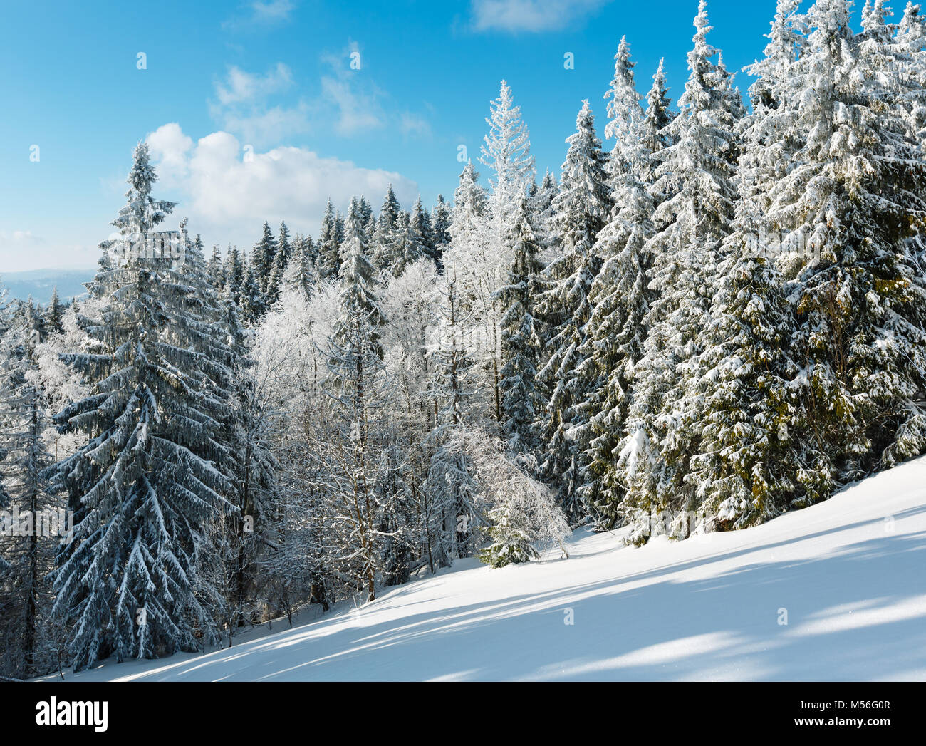 Winter calm mountain landscape with beautiful frosting trees and ...