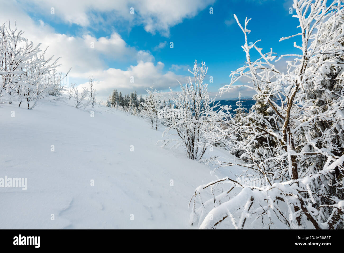 Winter calm mountain landscape with beautiful frosting trees and ...