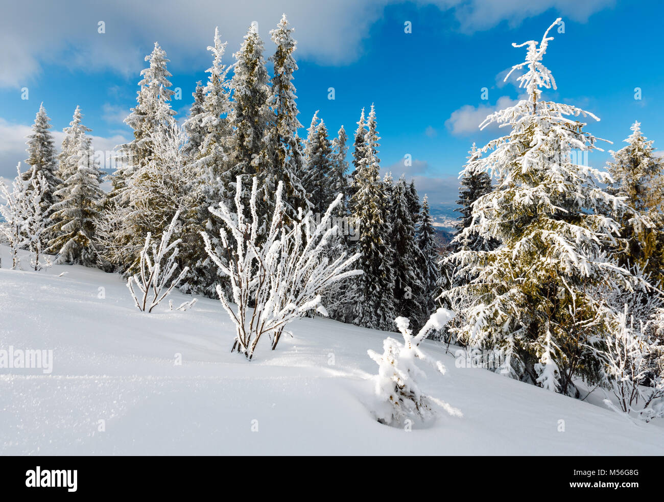 Winter calm mountain landscape with beautiful frosting trees and ...