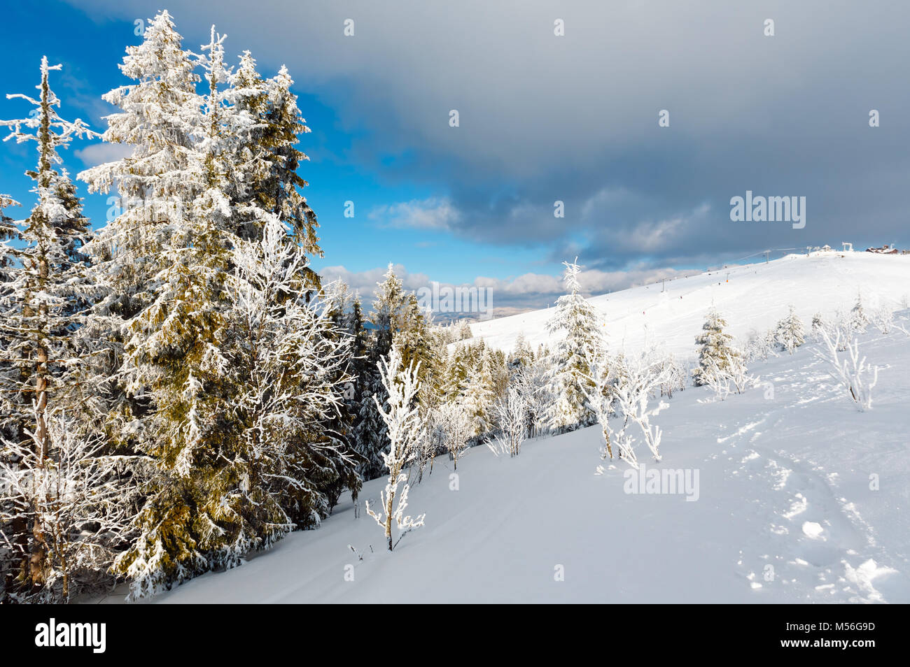 Winter calm mountain landscape with beautiful frosting trees and ...