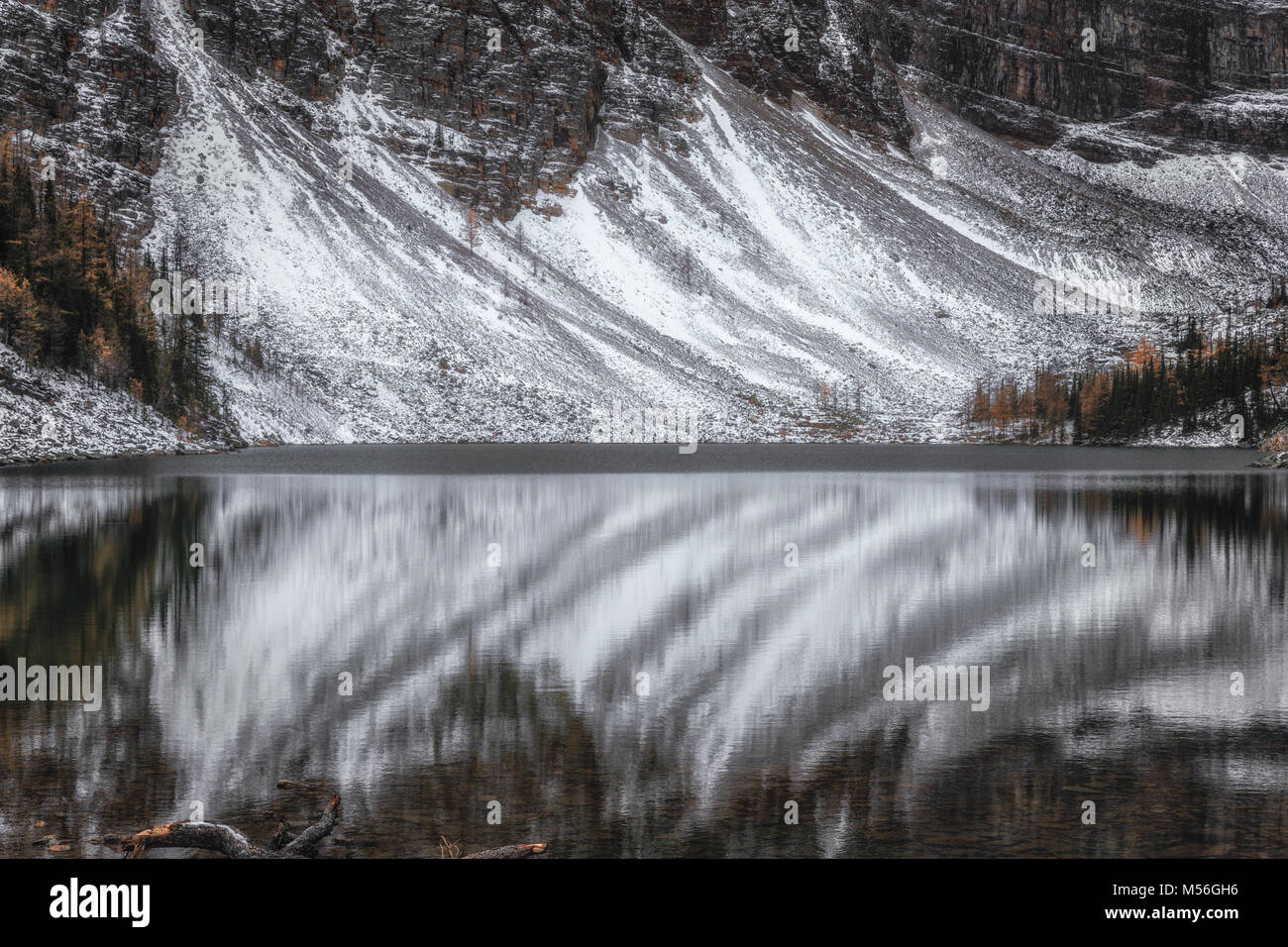 Lake Agnes reflection in Banff National Park in winter Stock Photo - Alamy