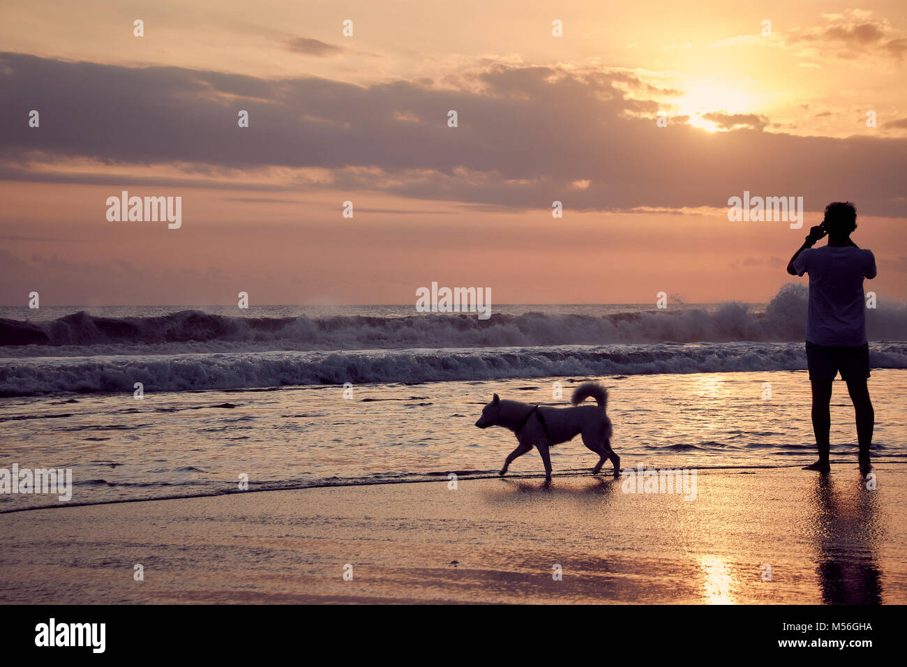 Dog with owner human at the beach in Bali, Indonesia Stock Photo - Alamy