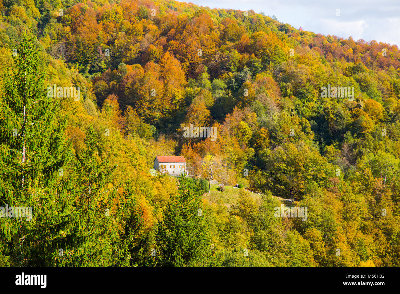 Isolated country house with trees with autumn colors Stock Photo - Alamy