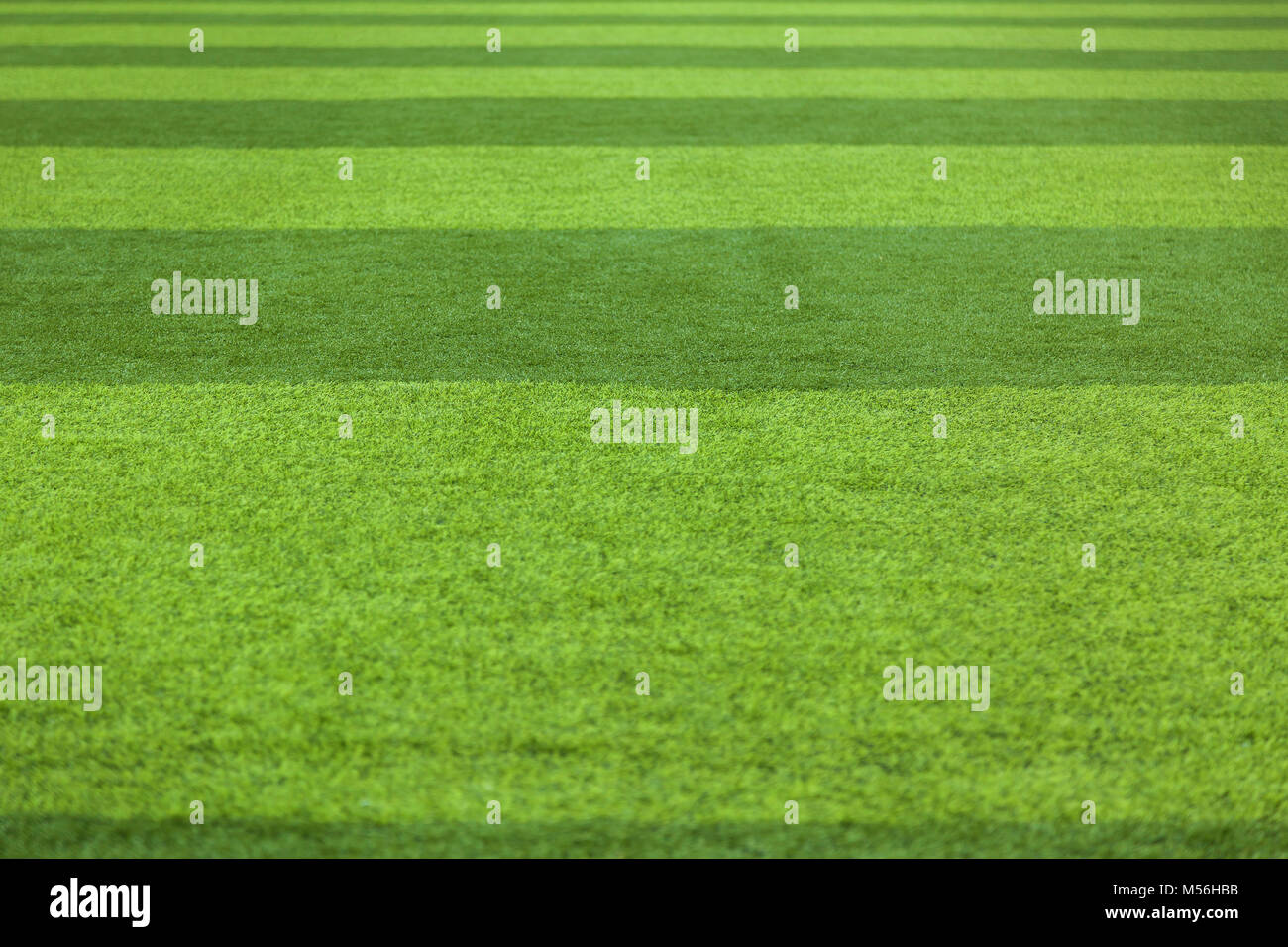 Green grass background turf grass surface abstract. Artificial turf ...