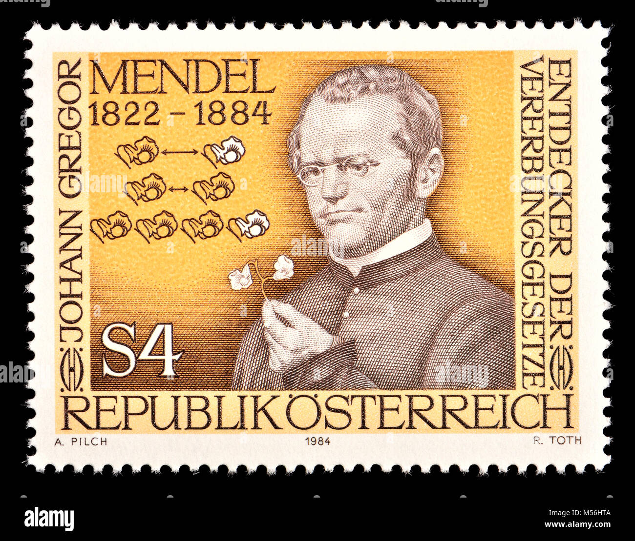 Gregor johann mendel 1822 1884 High Resolution Stock Photography and ...