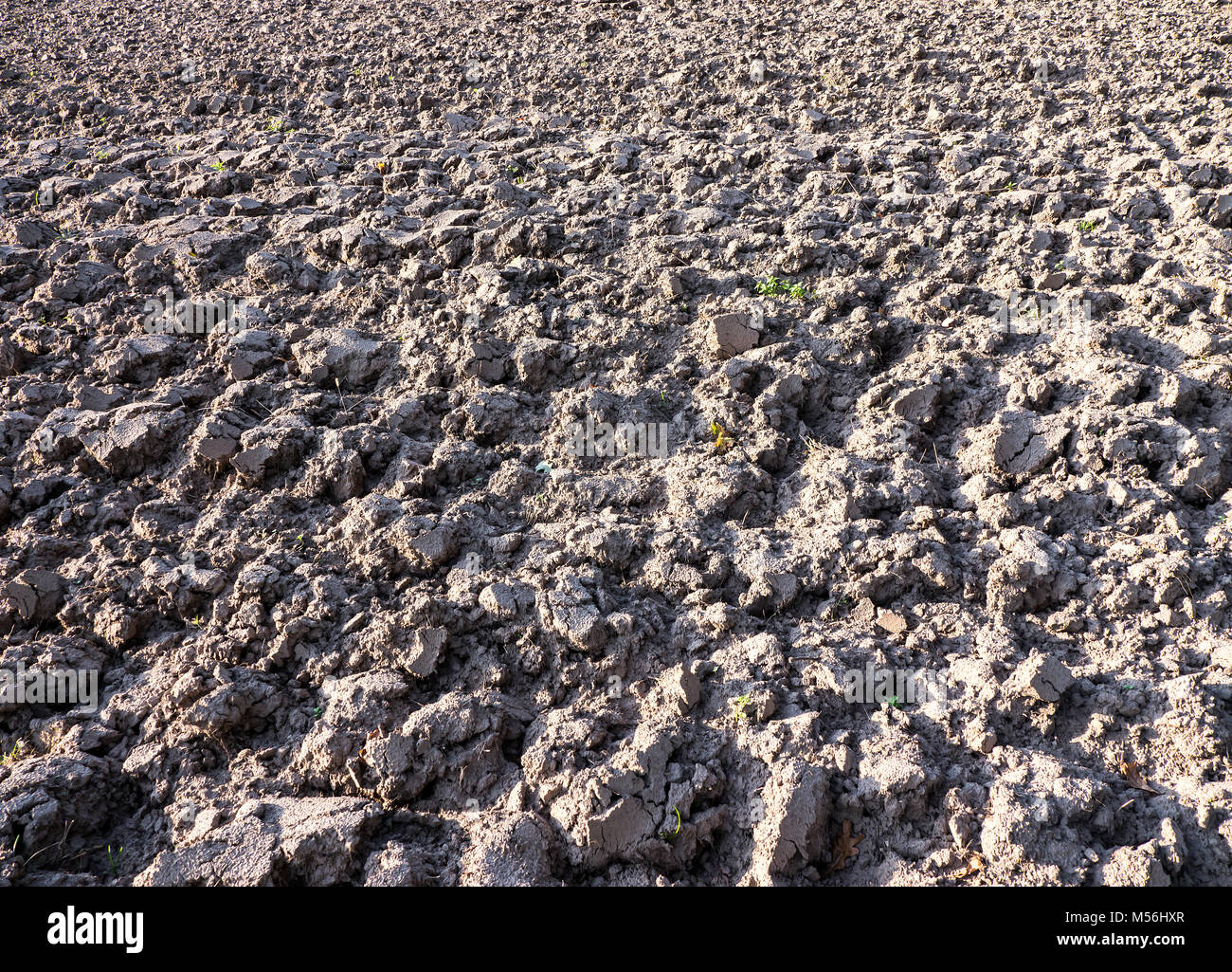 Arable land background and texture Stock Photo - Alamy