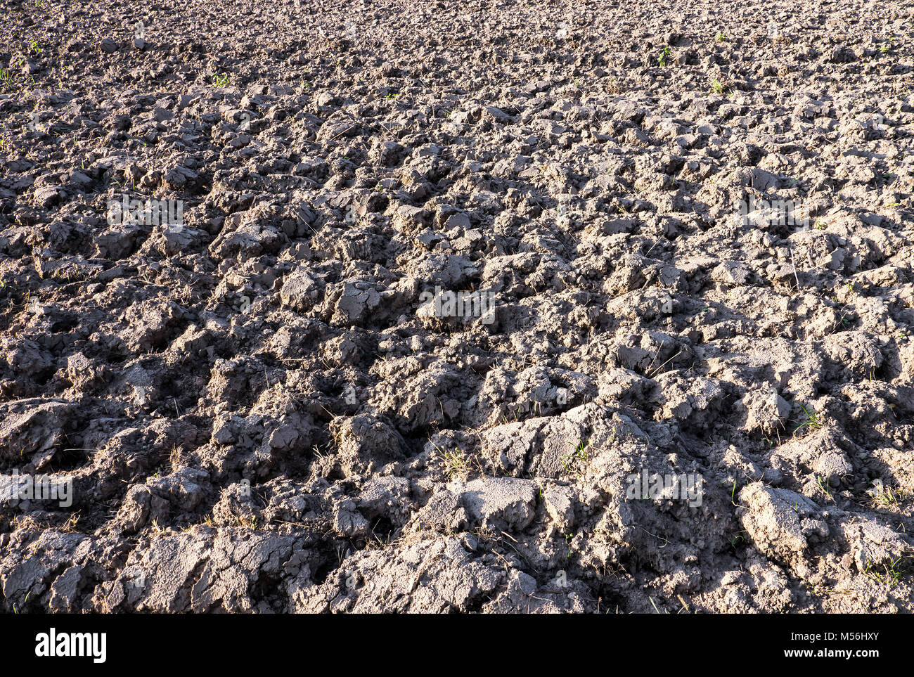 Arable land background and texture Stock Photo - Alamy