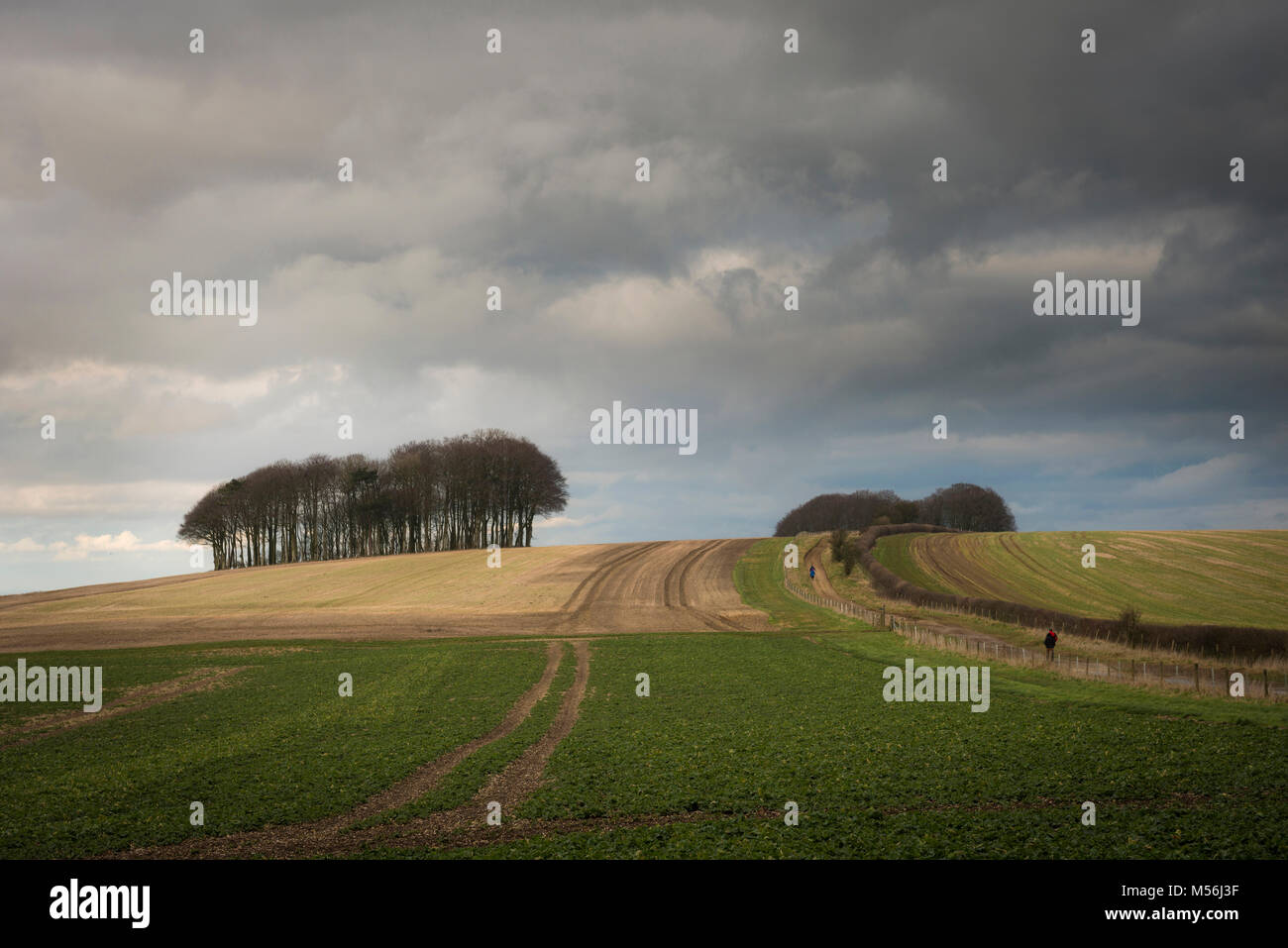 Hackpen Hill on The Ridgeway near Avebury, Wiltshire, UK Stock Photo ...