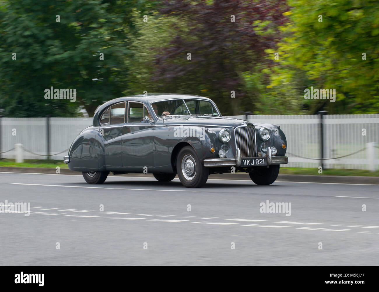 1955 Jaguar MkVII M classic British luxury car, rat look style Stock ...