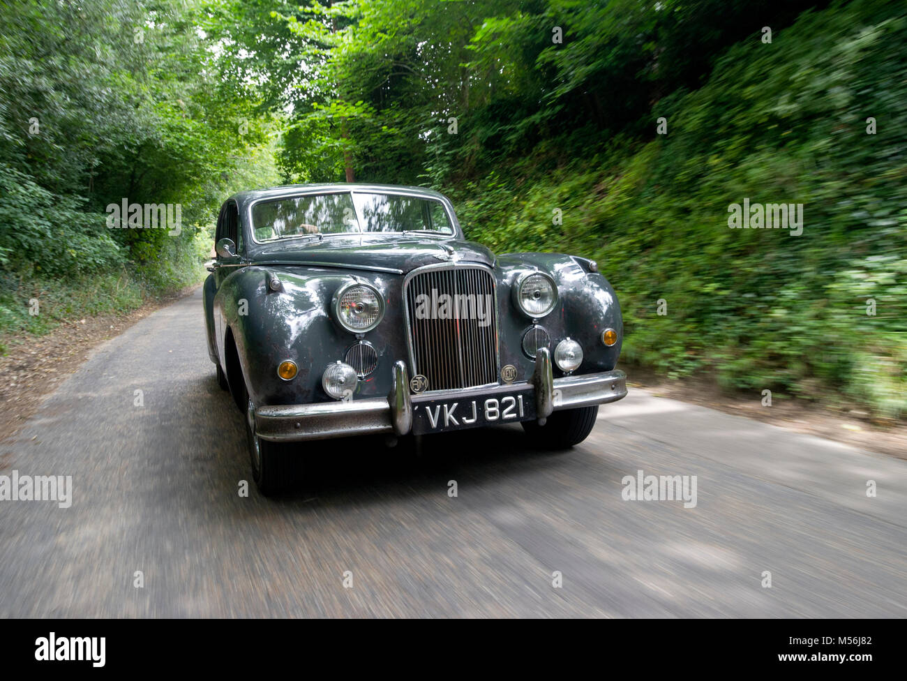 Rat look hi-res stock photography and images - Alamy