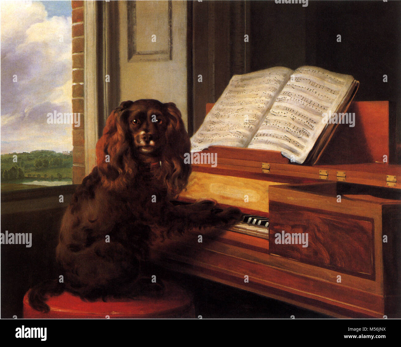 Portrait of an Extraordinary Musical Dog Stock Photo - Alamy