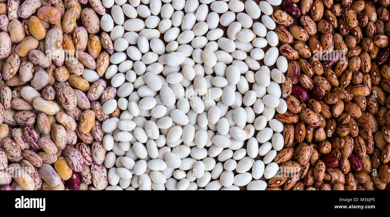 Beans background and texture Stock Photo - Alamy