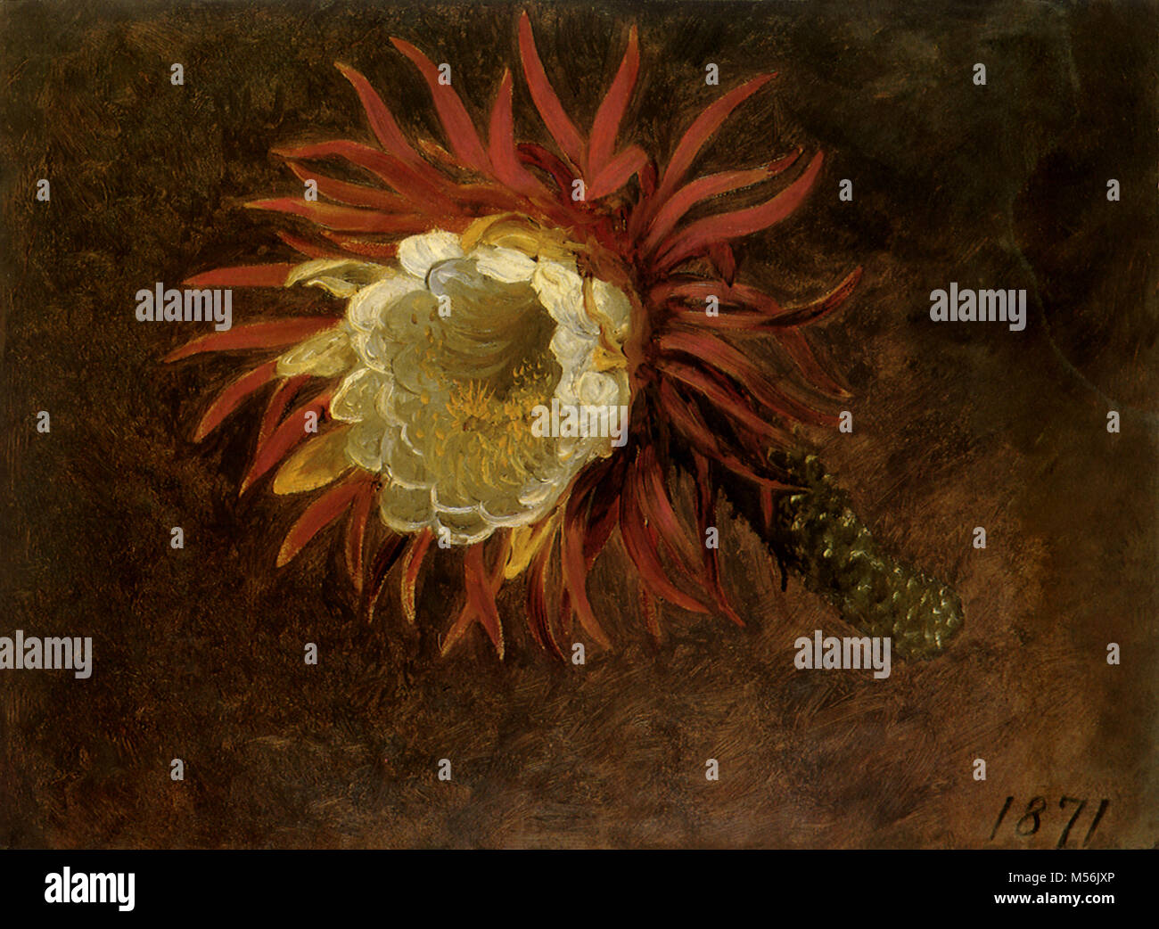 Botany study hi-res stock photography and images - Alamy