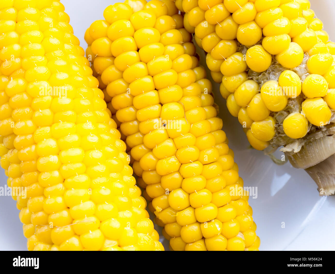The yellow nature corn background Stock Photo - Alamy