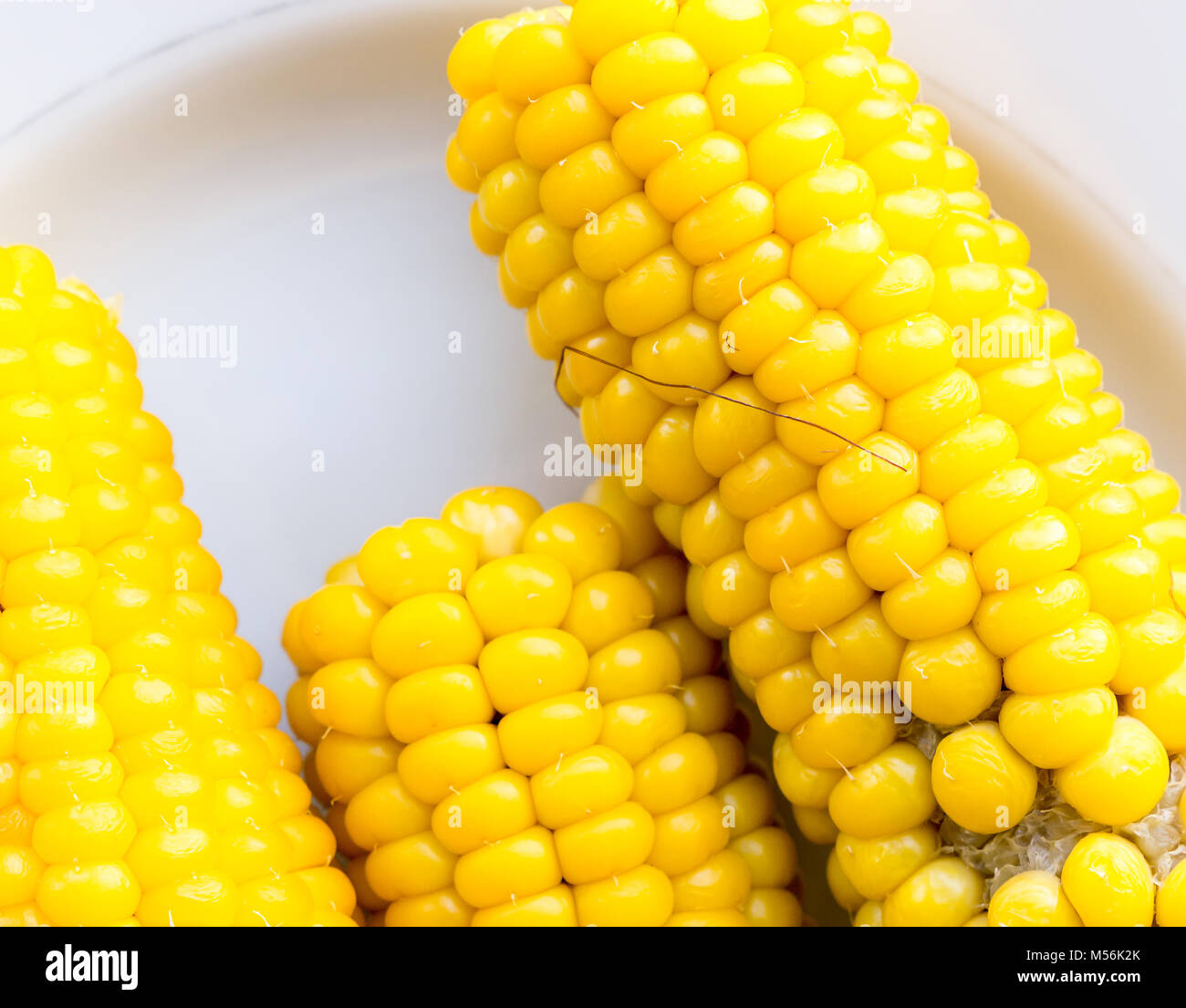 The yellow nature corn background Stock Photo - Alamy