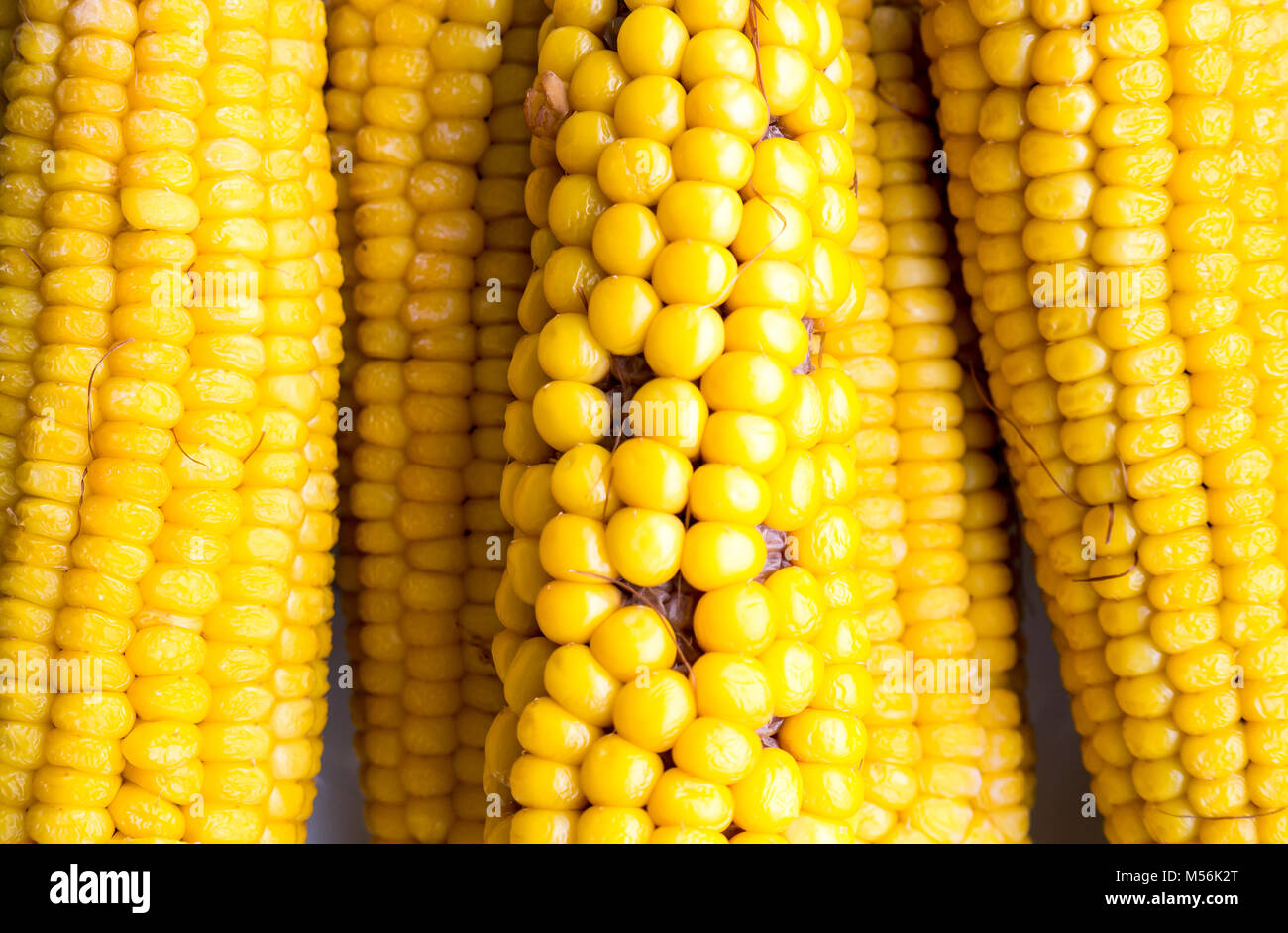 The yellow nature corn background Stock Photo - Alamy