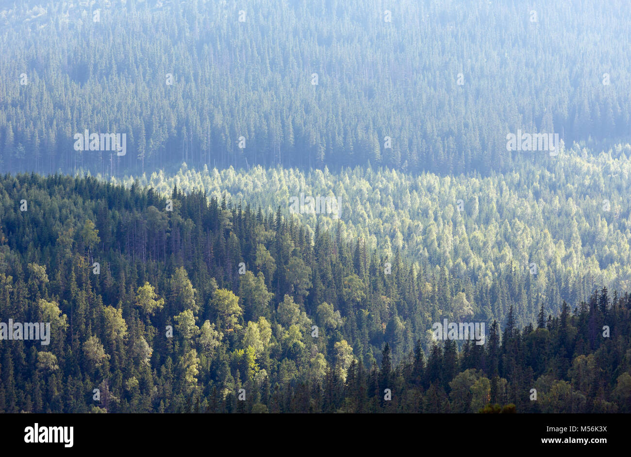 Summer mountain slope view Stock Photo - Alamy