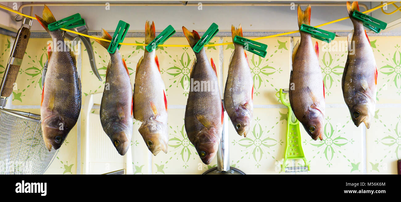 The Kitchen backgrounds and fish objects Stock Photo - Alamy