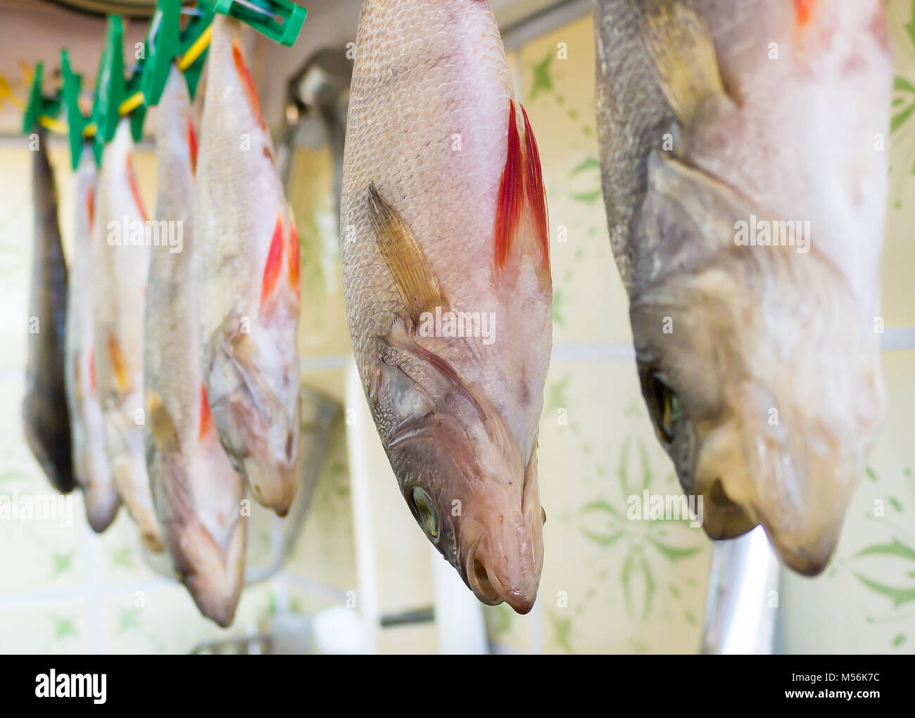 The Kitchen backgrounds and fish objects Stock Photo - Alamy