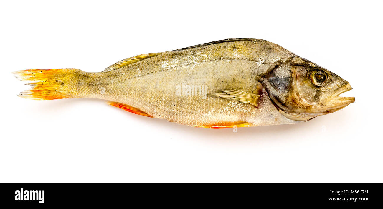 The Dried Fish Perch isolated Stock Photo - Alamy
