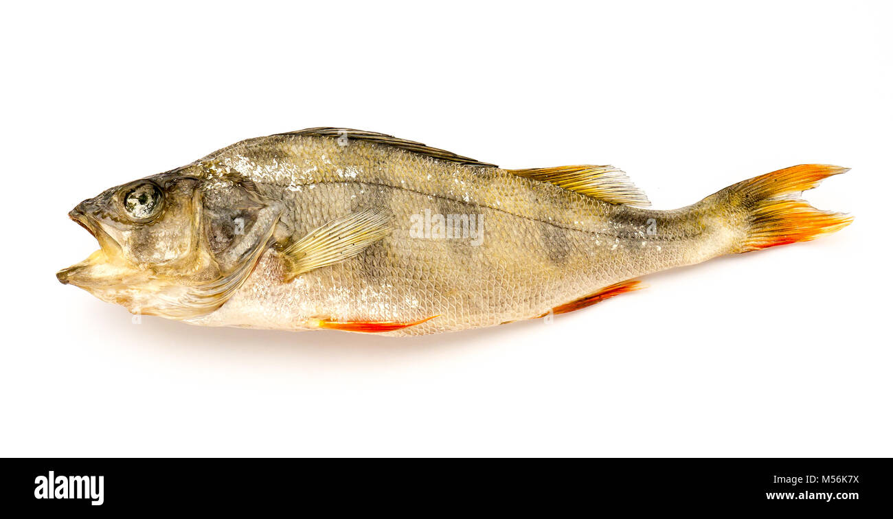 Chopped fish head Cut Out Stock Images & Pictures - Alamy