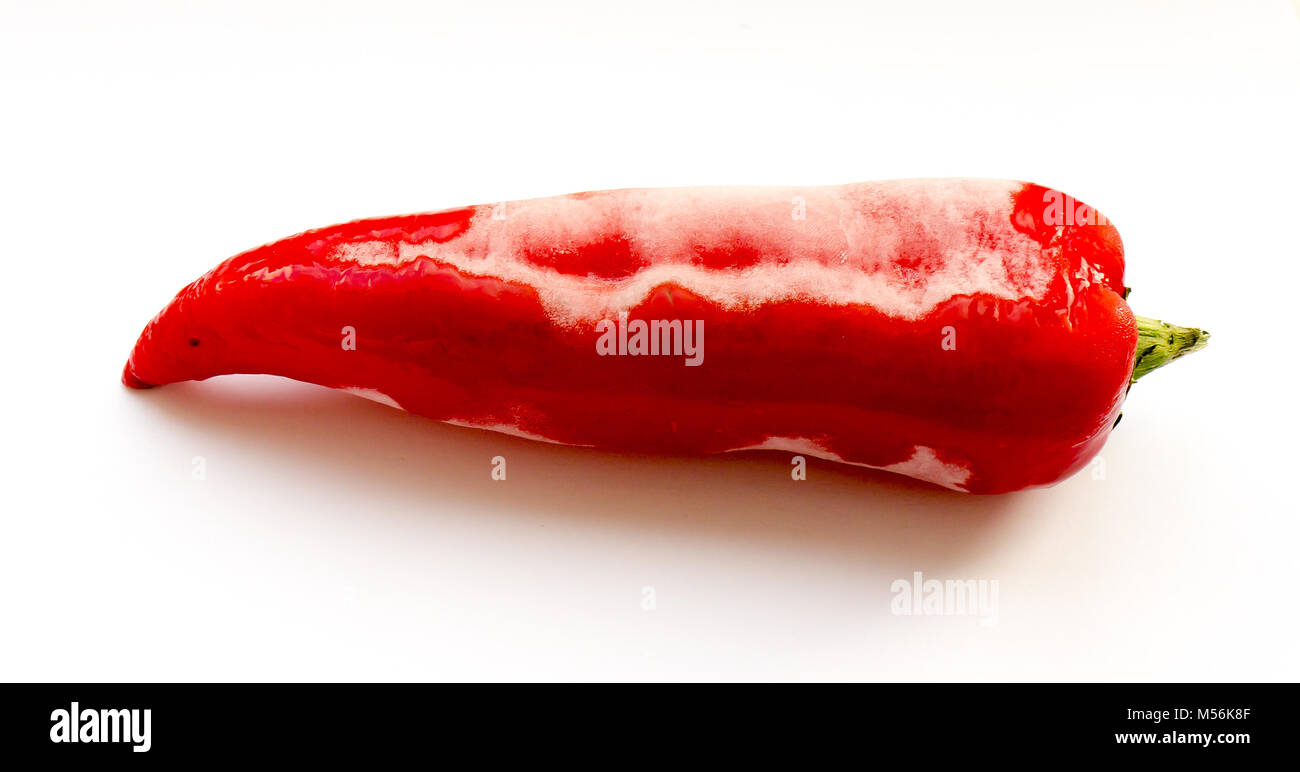 The nature vegetable Pepper object isolated Stock Photo - Alamy