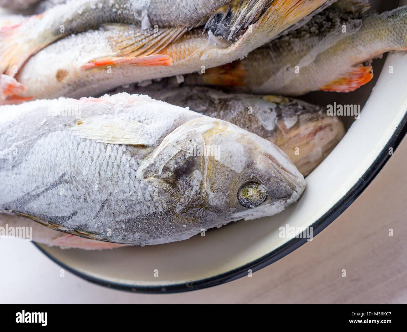 The Fish Perch frozen object Stock Photo - Alamy