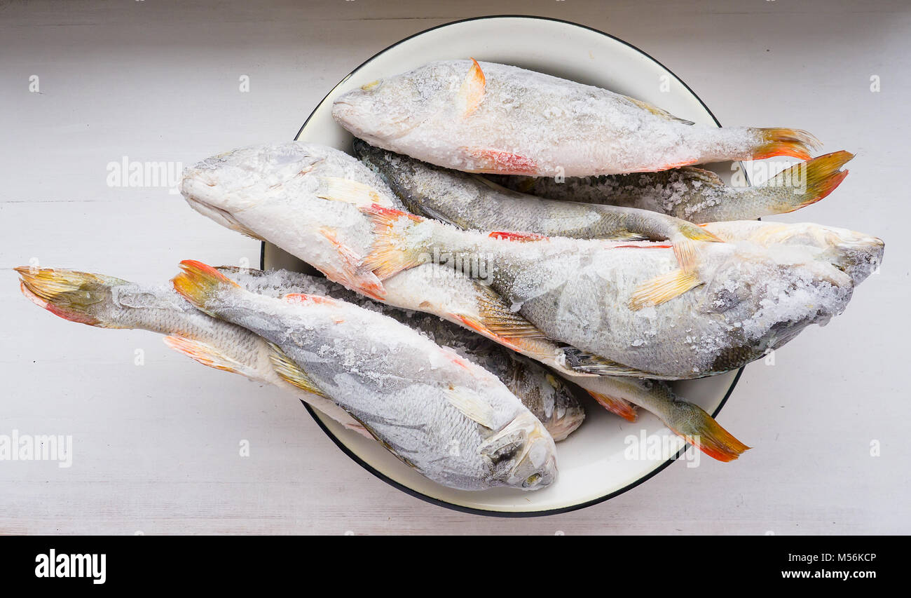 The Fish Perch frozen object Stock Photo - Alamy