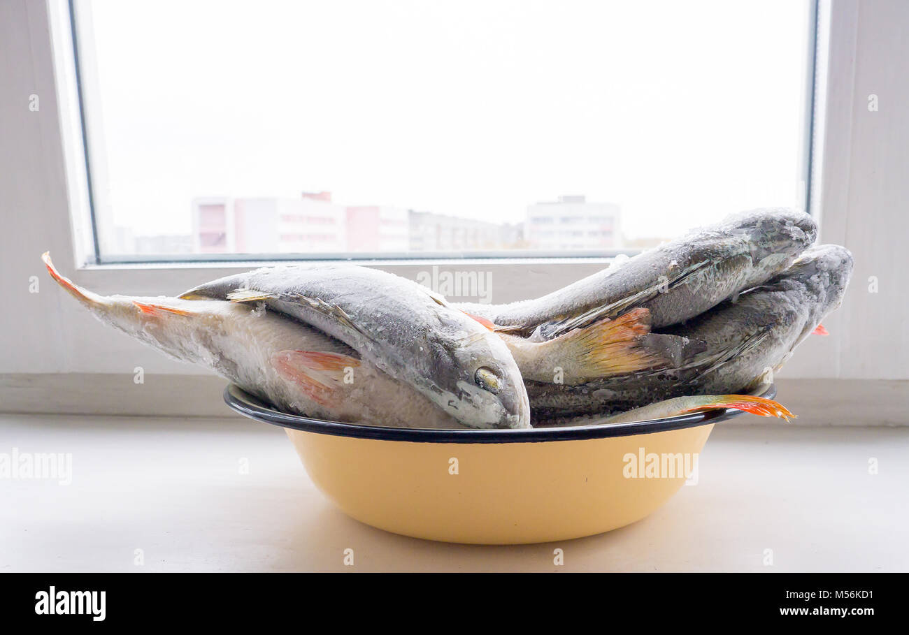 The Fish Perch frozen object Stock Photo - Alamy