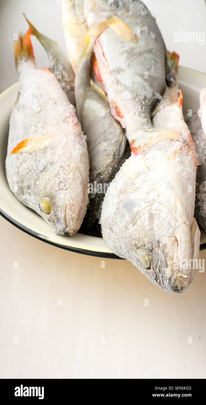 The Fish Perch frozen object Stock Photo - Alamy