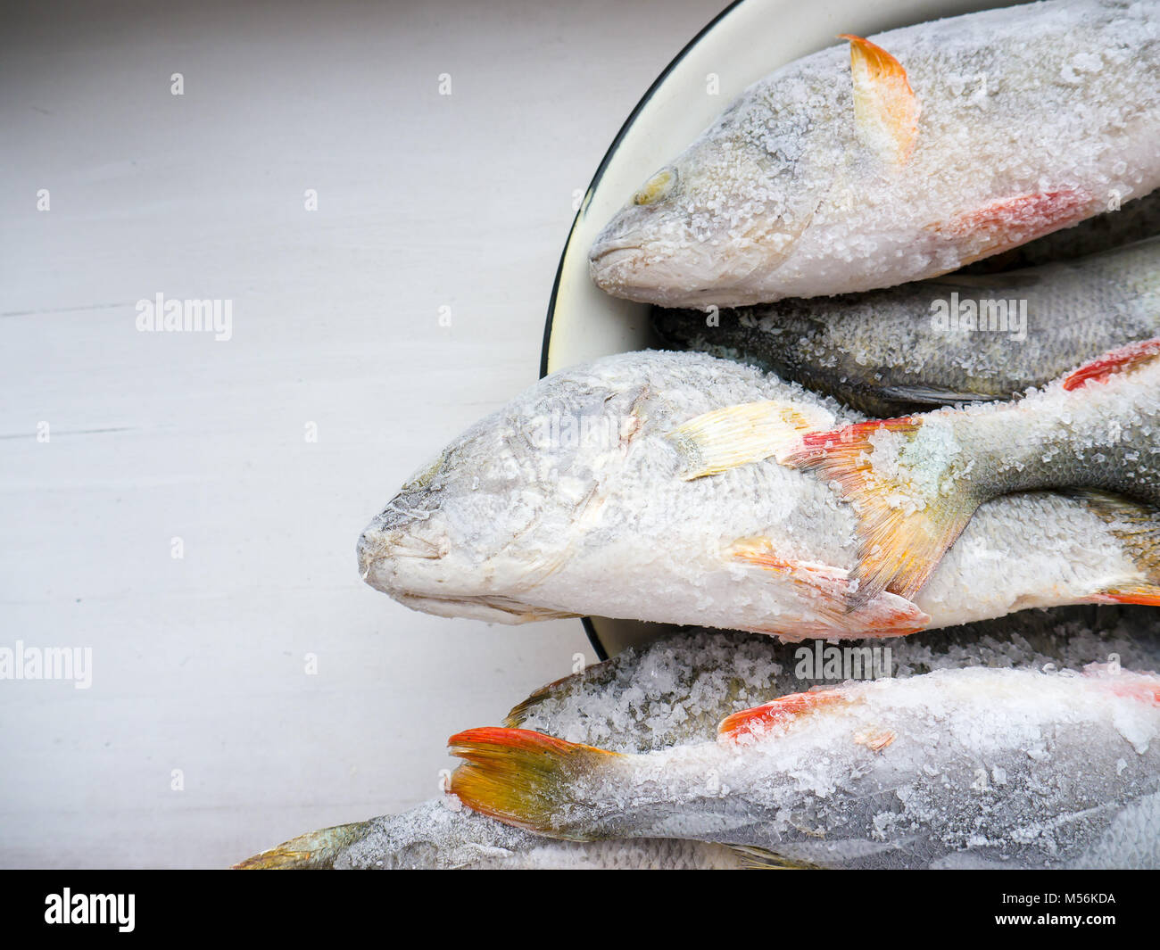 The Fish Perch frozen object Stock Photo - Alamy