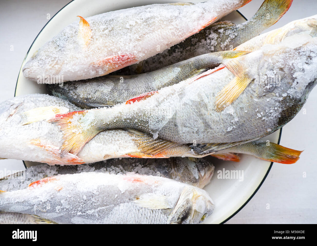 The Fish Perch frozen object Stock Photo - Alamy