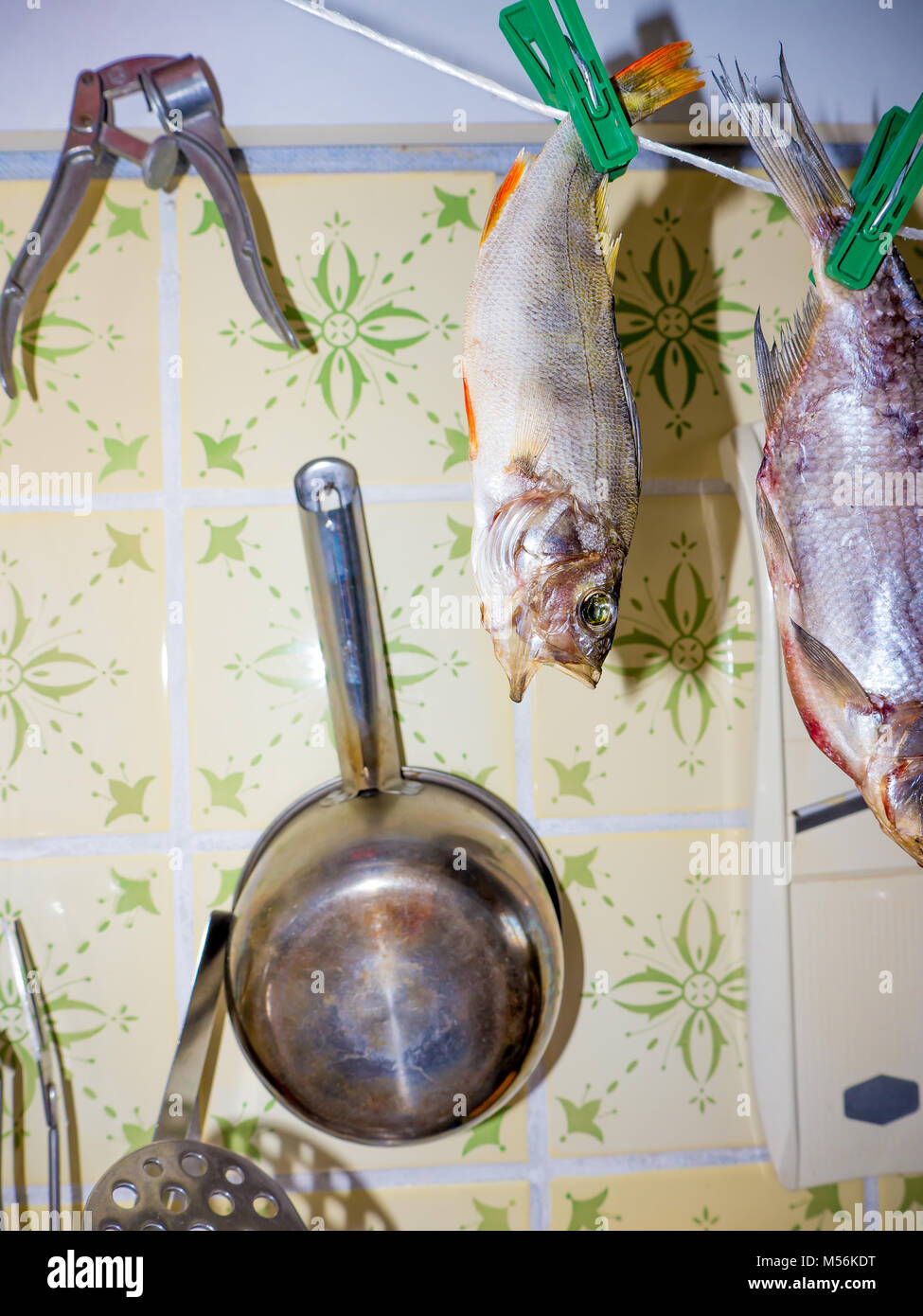 The Kitchen backgrounds and fish objects Stock Photo - Alamy