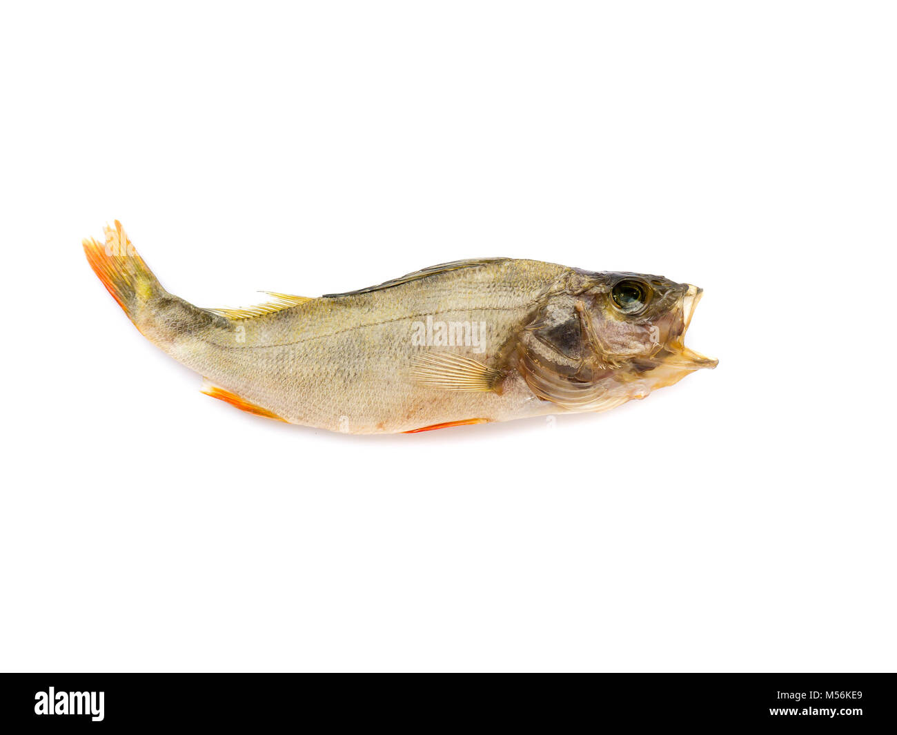 The Dried Fish Perch isolated Stock Photo - Alamy