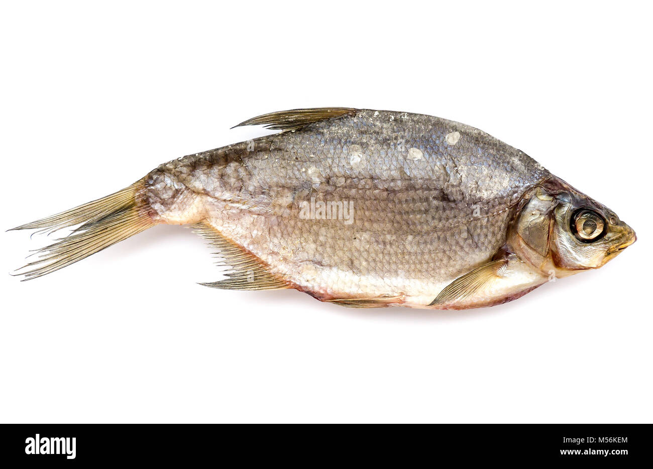 The Dried Fish Bream isolated Stock Photo - Alamy