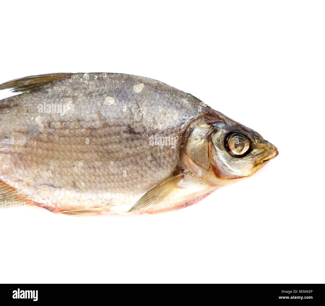 The Dried Fish Bream isolated Stock Photo - Alamy