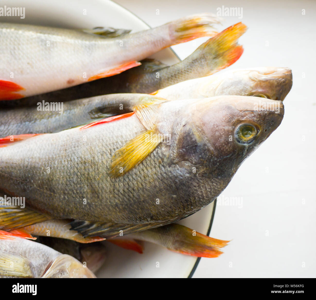 The Kitchen backgrounds and fish objects Stock Photo - Alamy