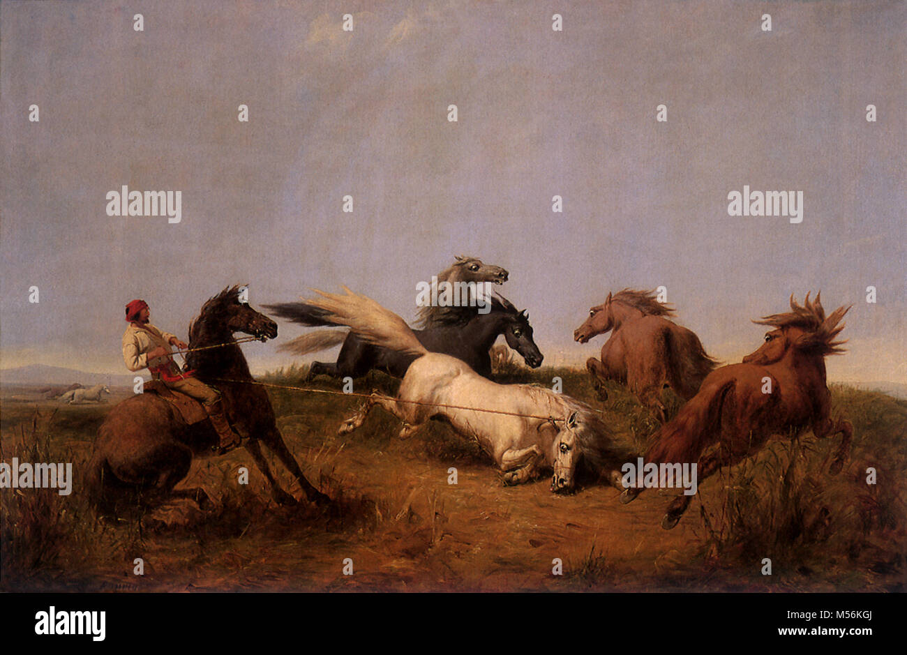 Cowboy painting horse hi-res stock photography and images - Alamy