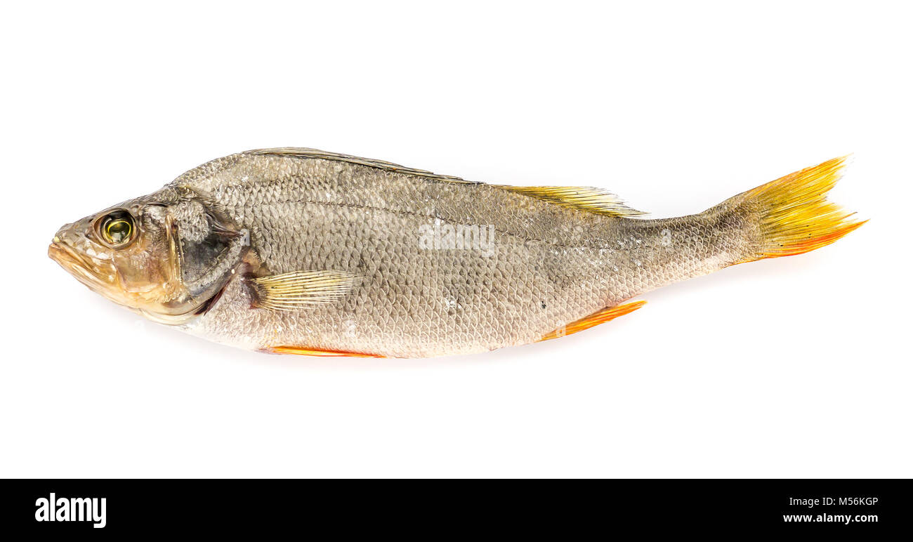 The Dried Fish Perch isolated Stock Photo - Alamy