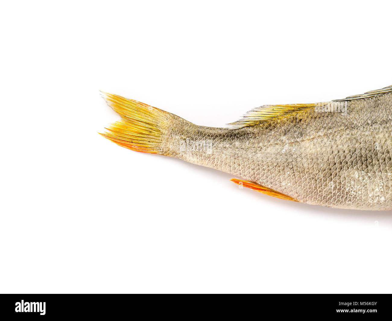 The Dried Fish Perch isolated Stock Photo - Alamy