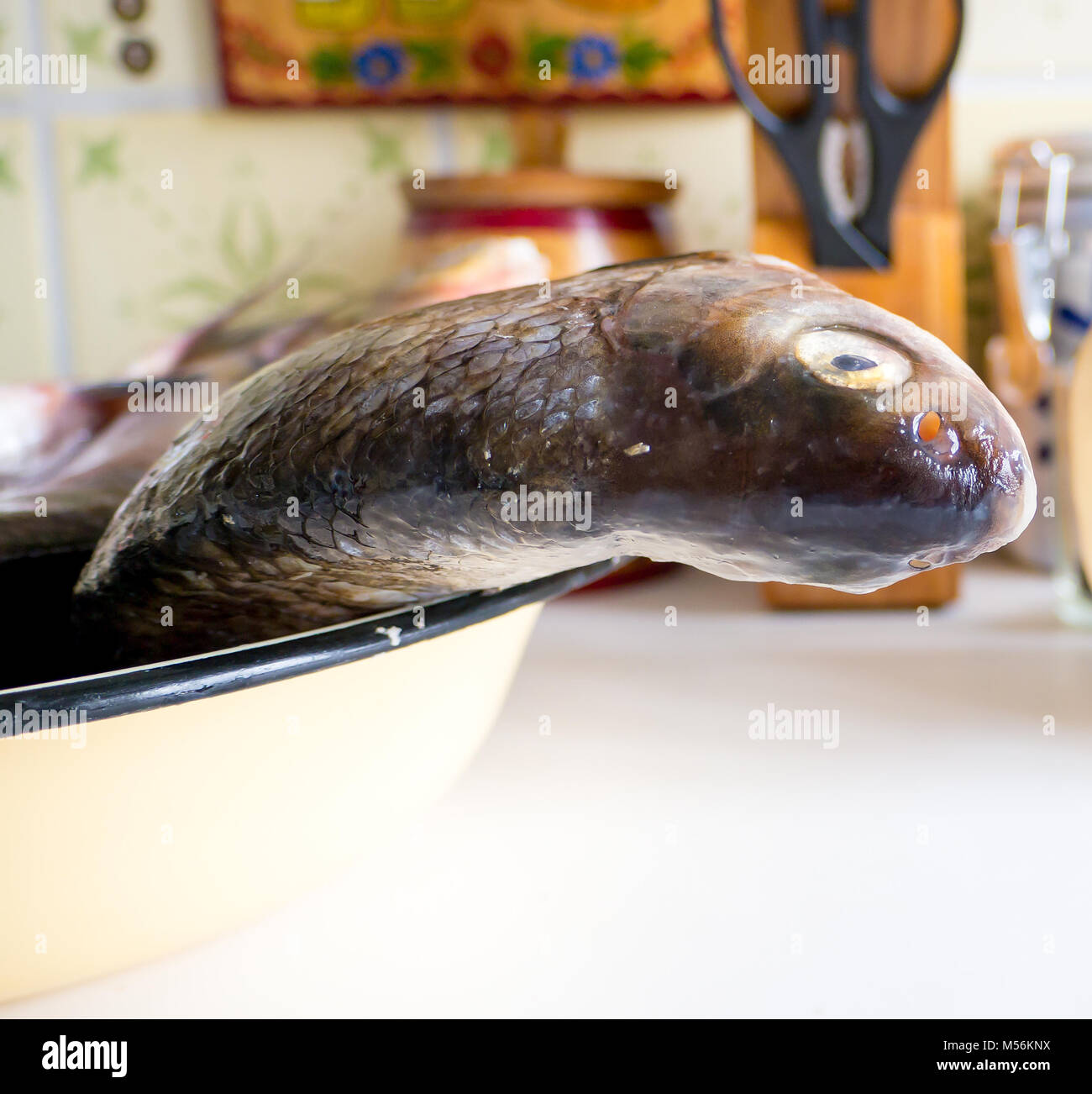 The Kitchen backgrounds and fish objects Stock Photo - Alamy