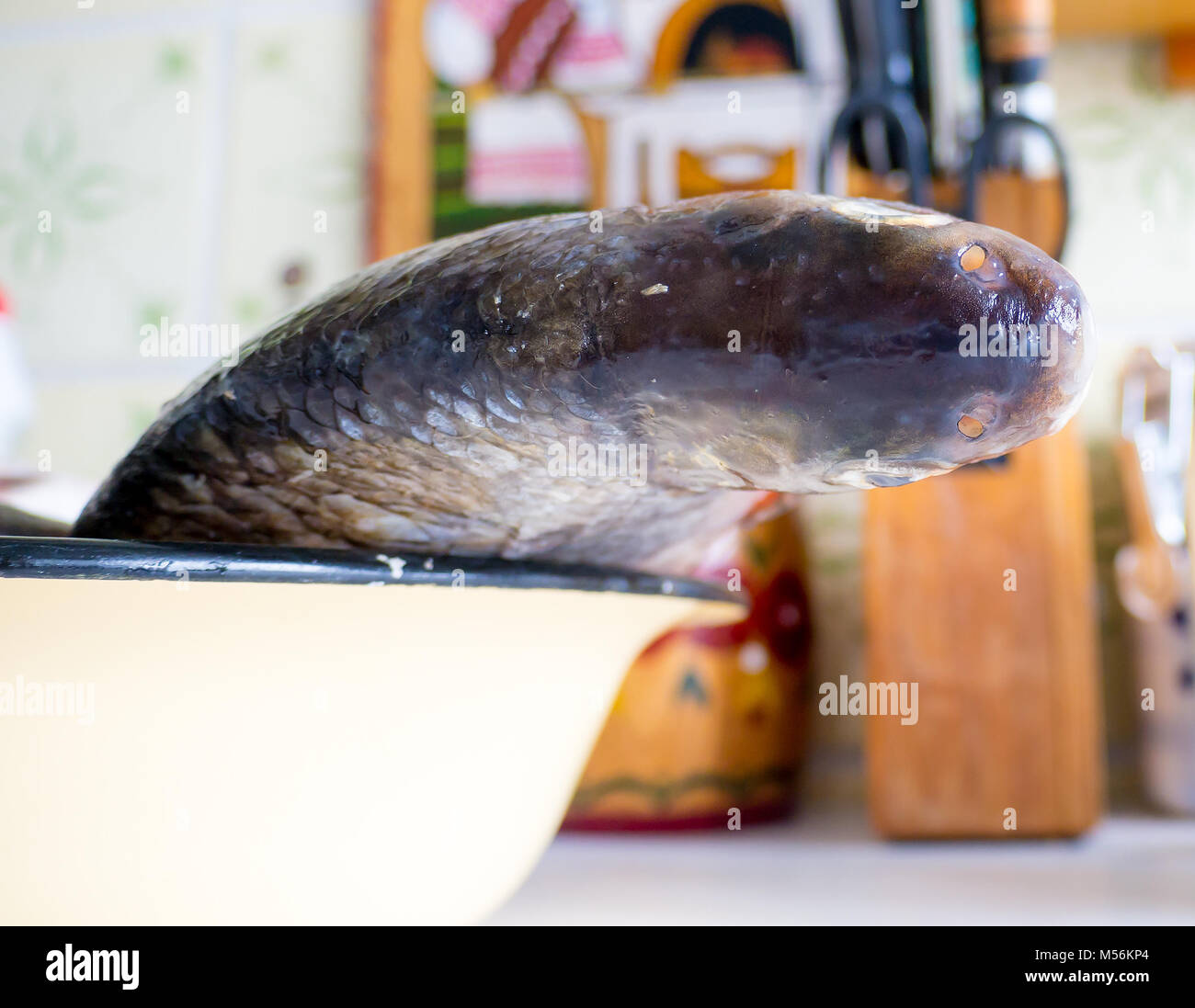 The Kitchen backgrounds and fish objects Stock Photo - Alamy