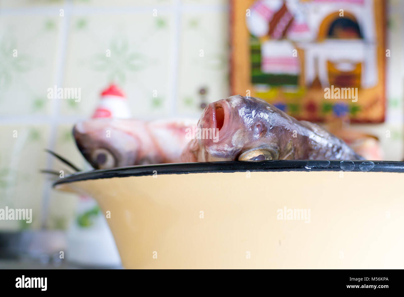 The Kitchen backgrounds and fish objects Stock Photo - Alamy