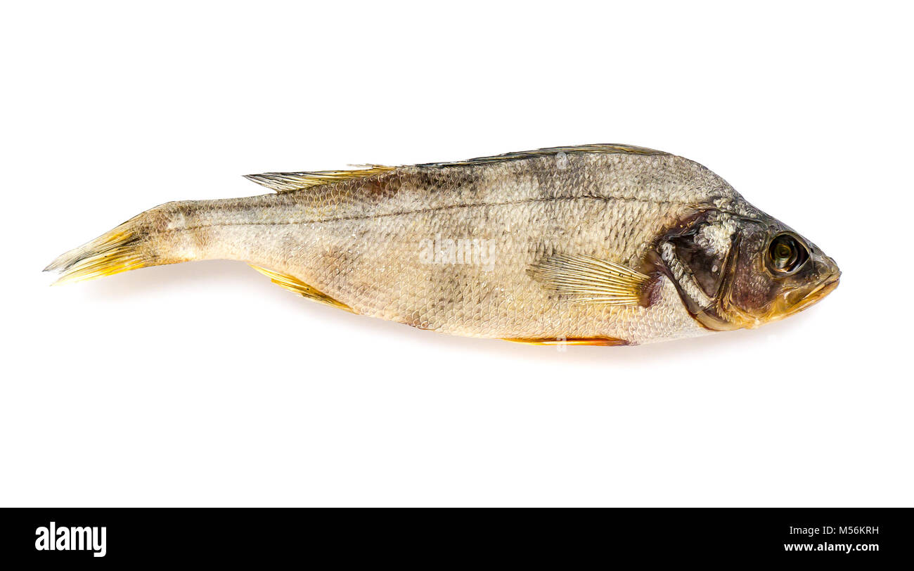 The Dried Fish Perch isolated Stock Photo - Alamy