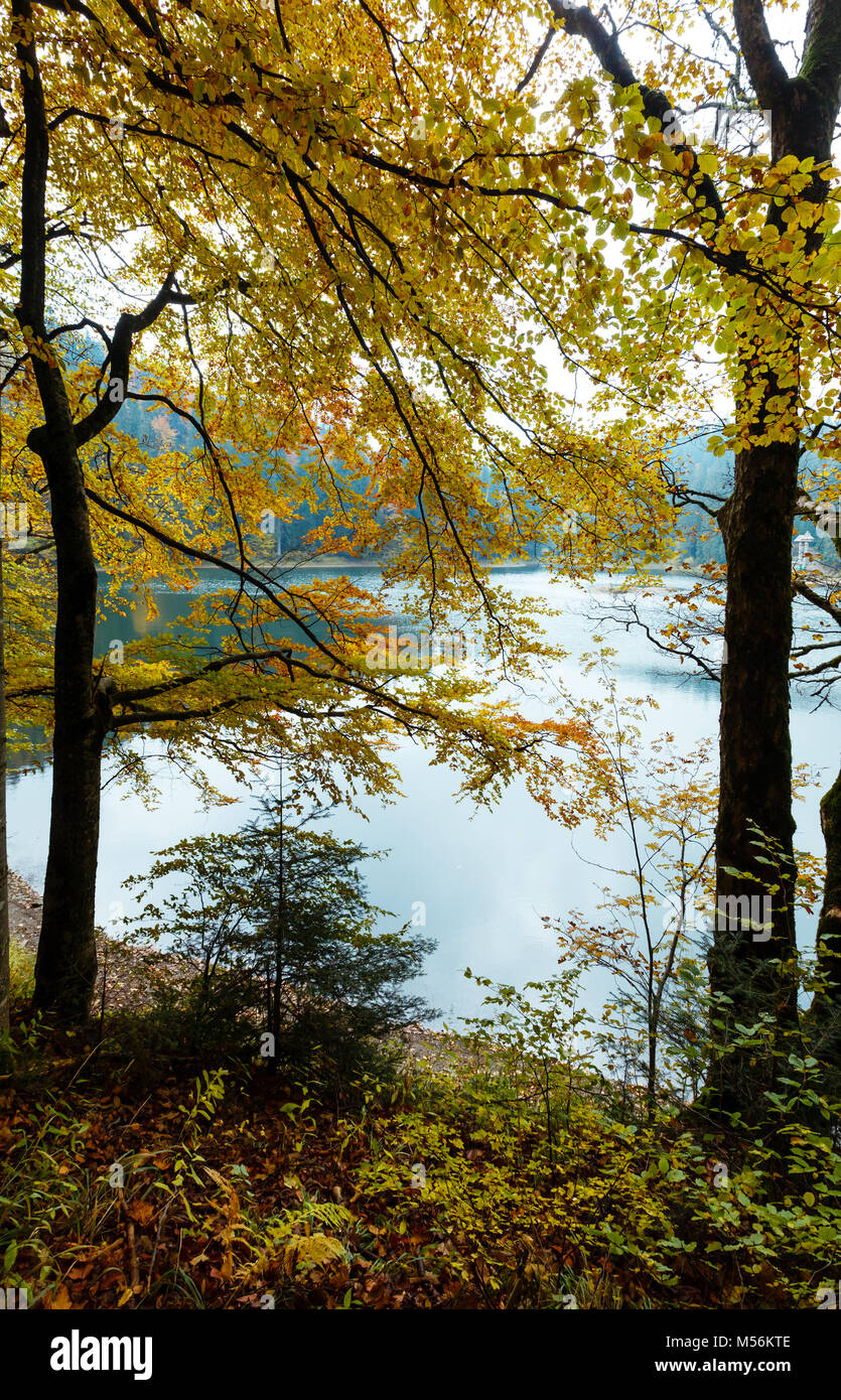 Synevyr national nature park hi-res stock photography and images - Alamy