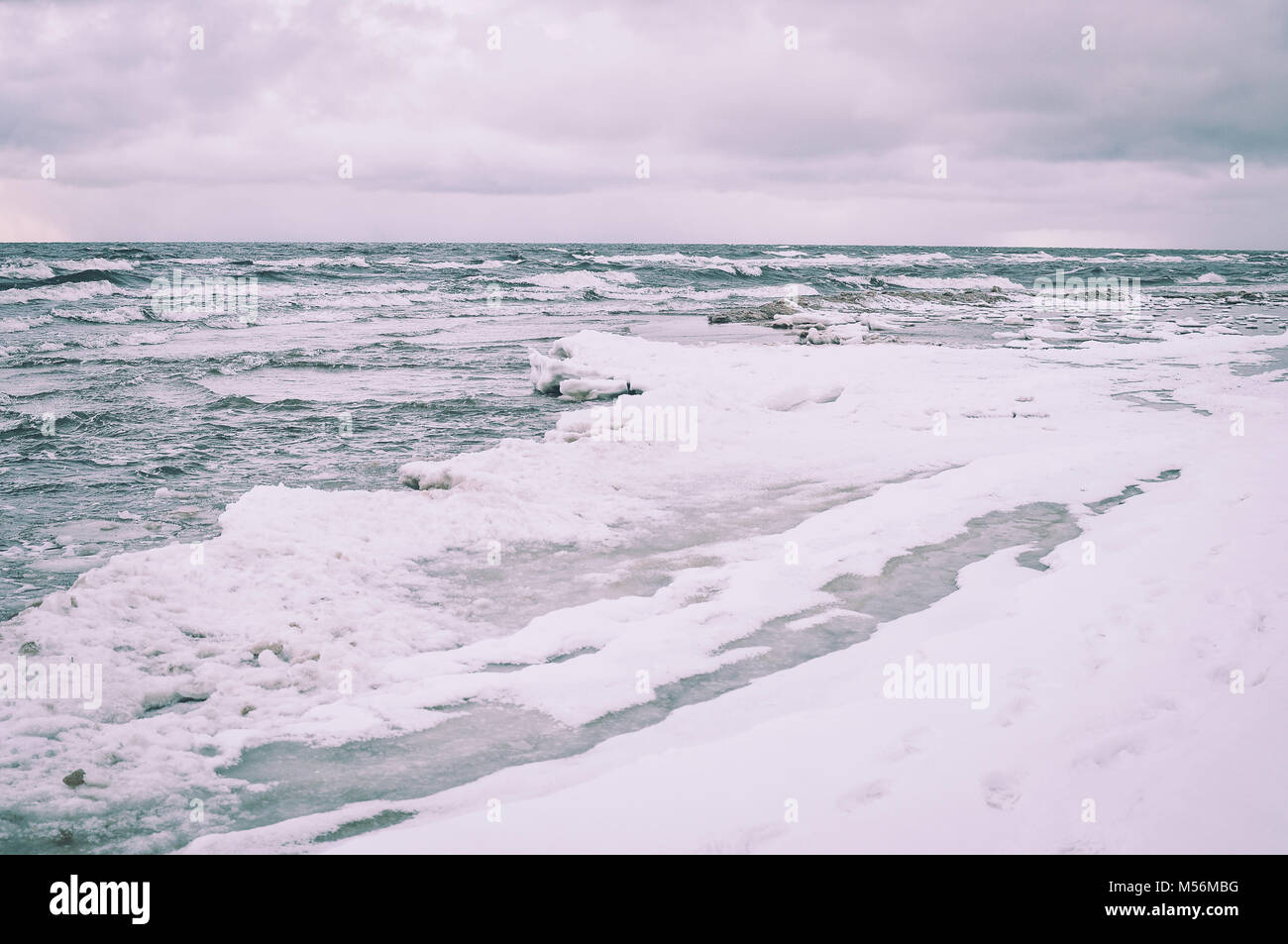 Baltic sea ecosystem hi-res stock photography and images - Alamy